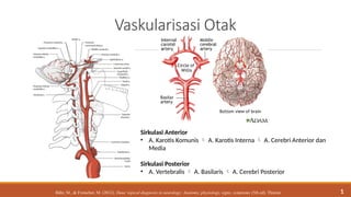 Arteri Cerebri Posterior Muhammad Dhiya Rahadian.pptx