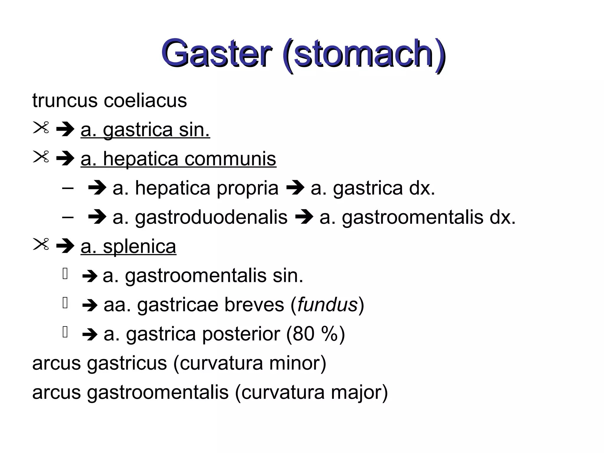 Arteries of human body - Arterije tela | PPT