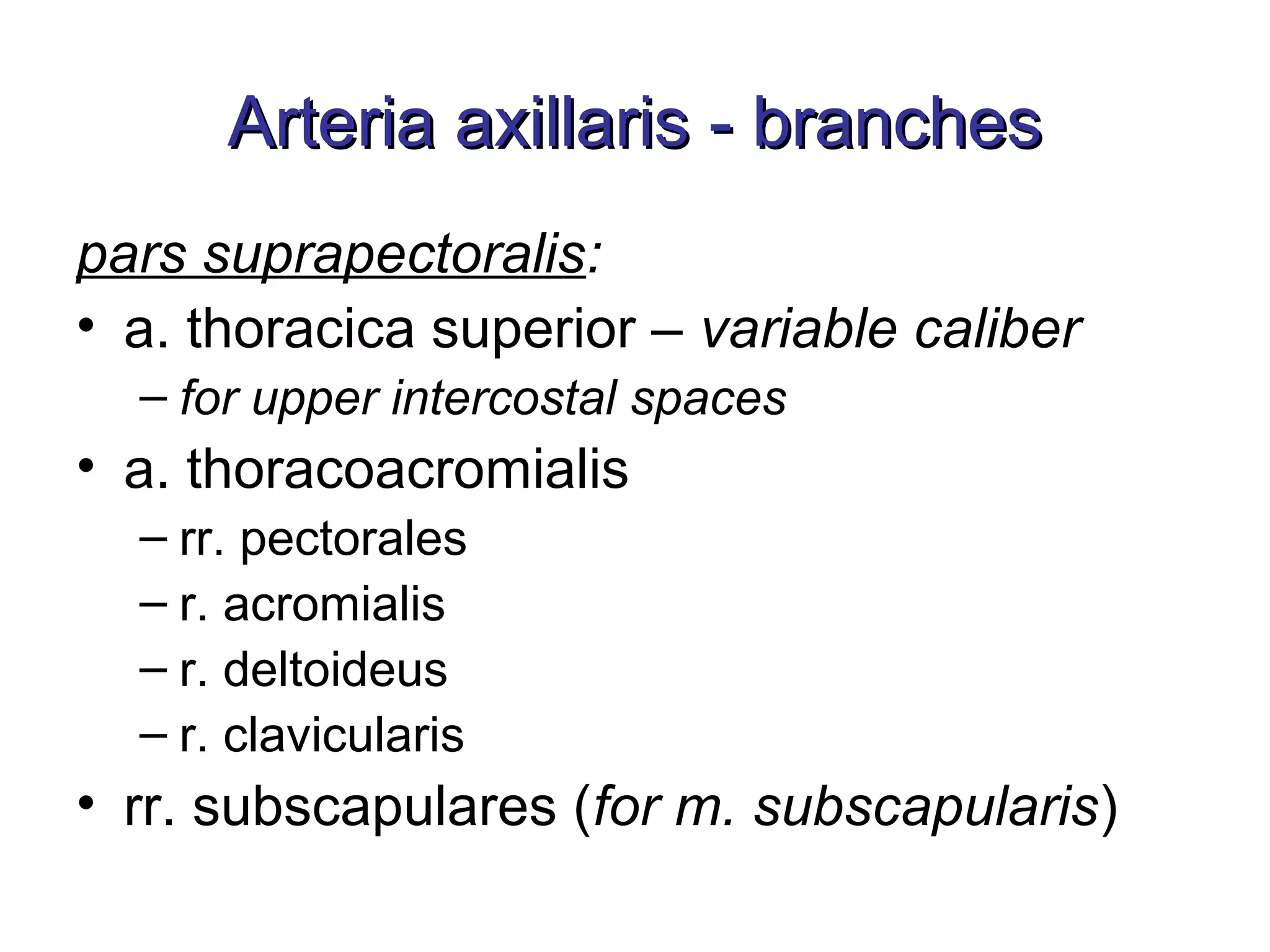 Arteries of human body - Arterije tela | PPT