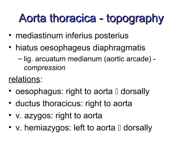 Arteries of human body - Arterije tela | PPT