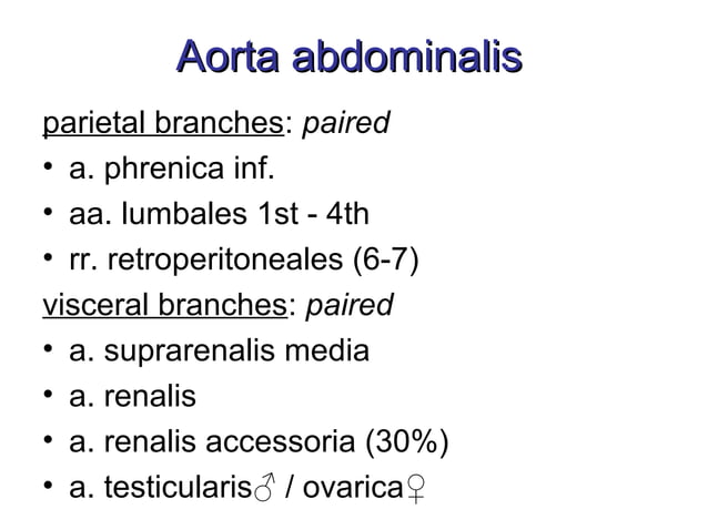 Arteries of human body - Arterije tela | PPT