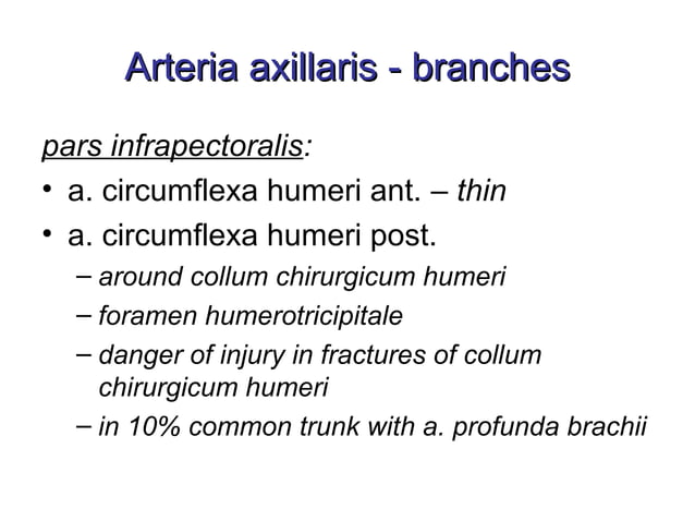 Arteries of human body - Arterije tela | PPT