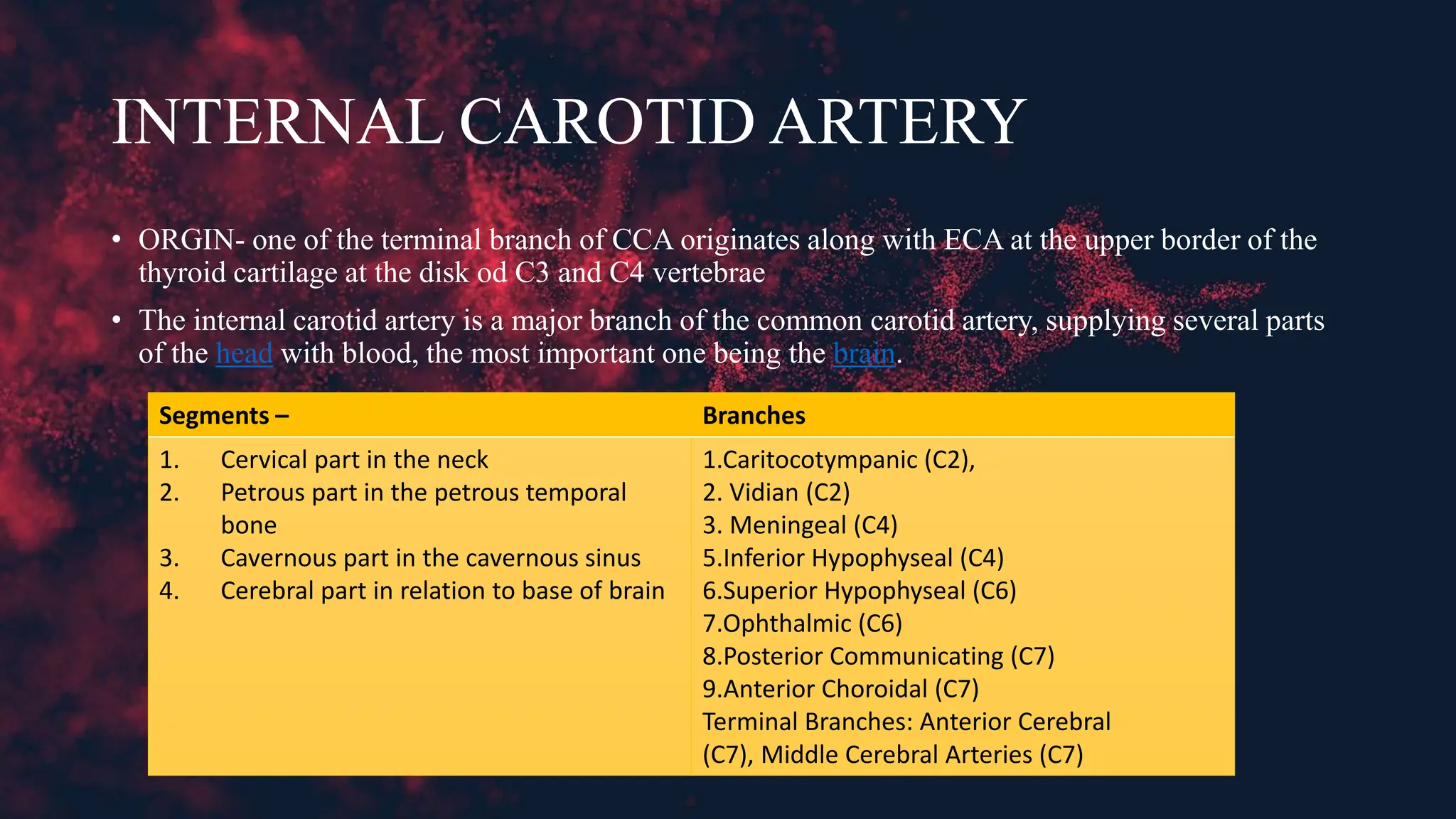 arteries.pptx