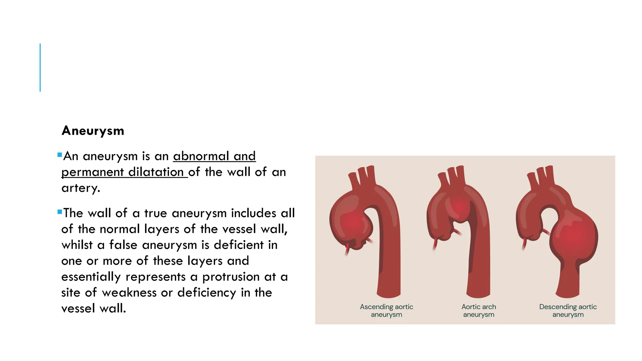 Arteries and Veins of the Thoracic Cavity 2024.pdf