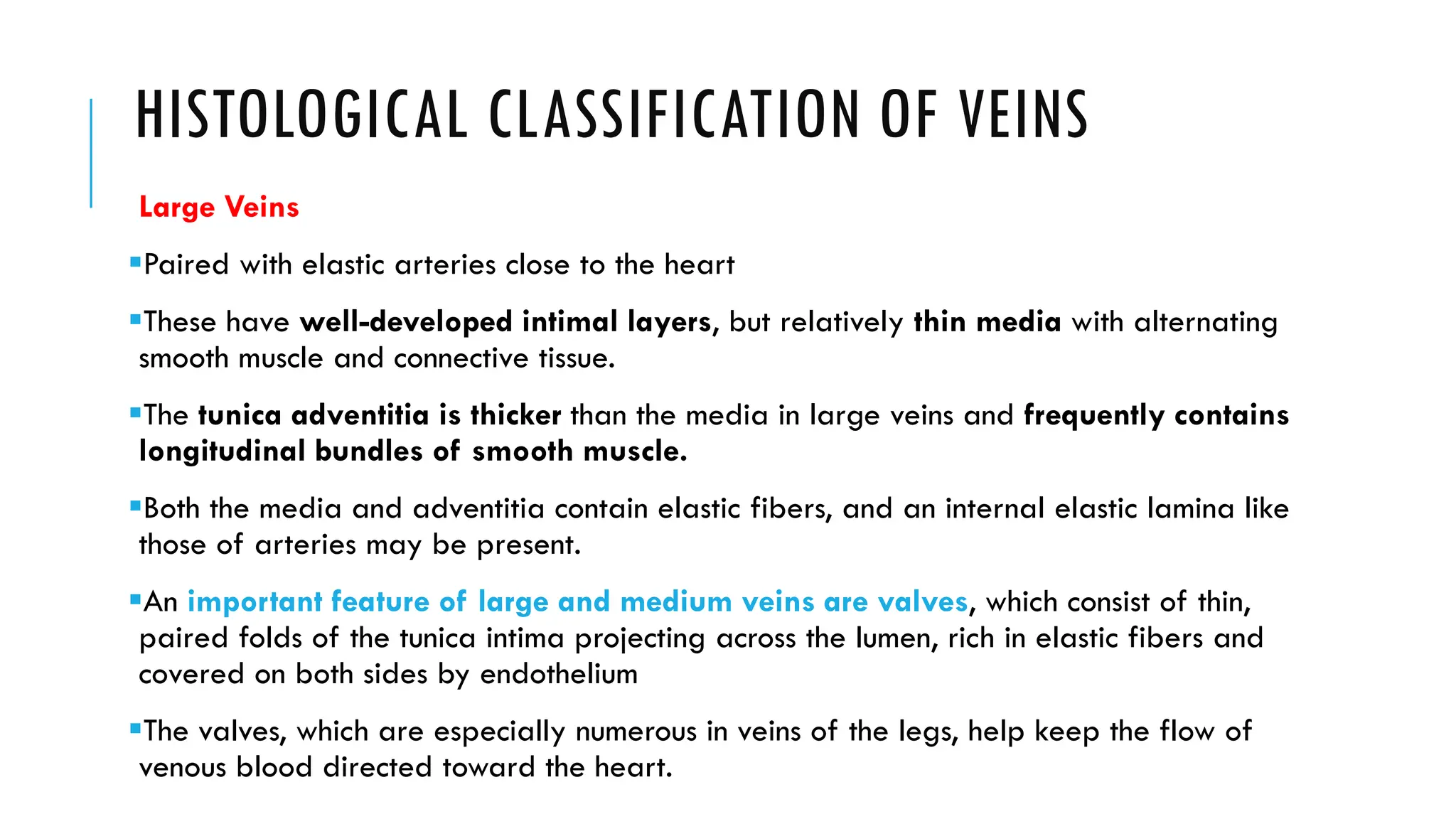 Arteries and Veins of the Thoracic Cavity 2024.pdf