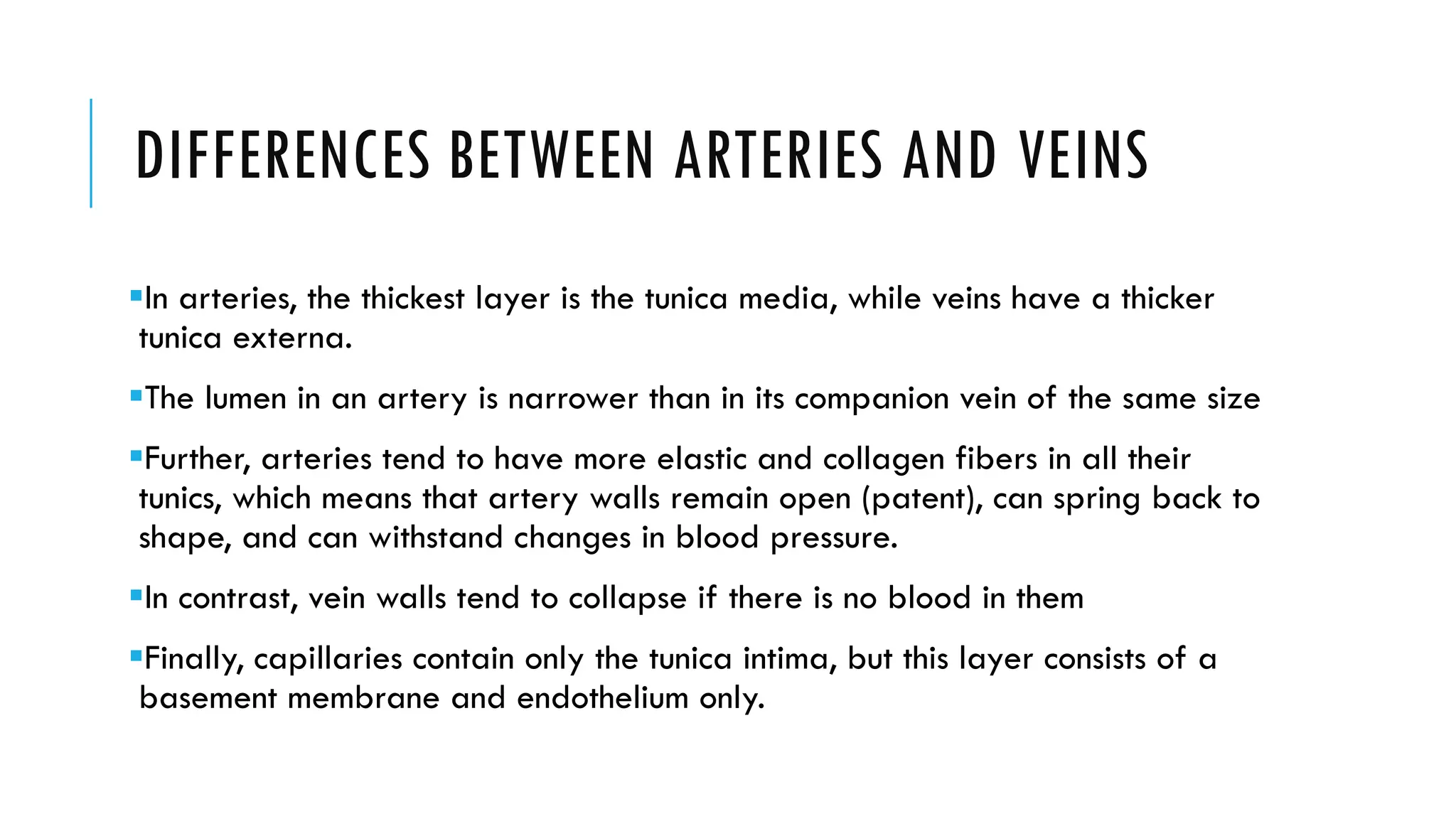 Arteries and Veins of the Thoracic Cavity 2024.pdf