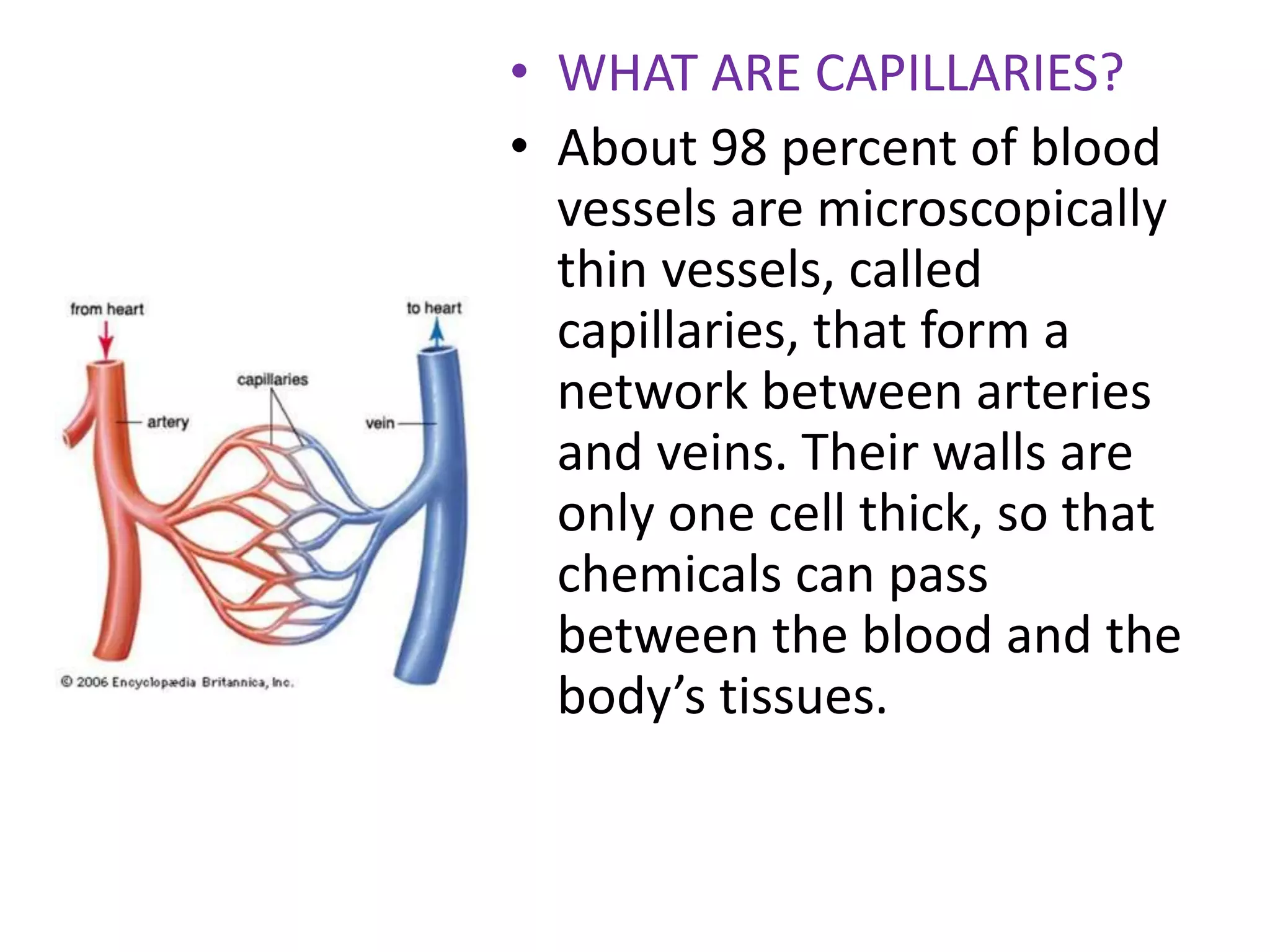 Arteries capillaries veins | PPTX