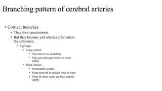 Arteries of brain | PDF