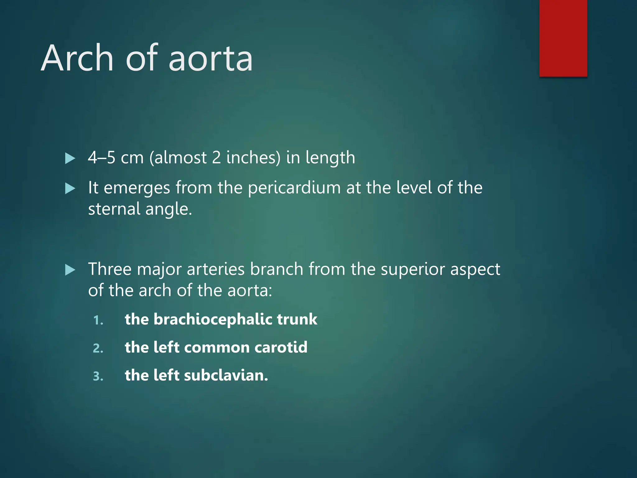 Arteries of Head and Neck anatomy and physiology | PPTX