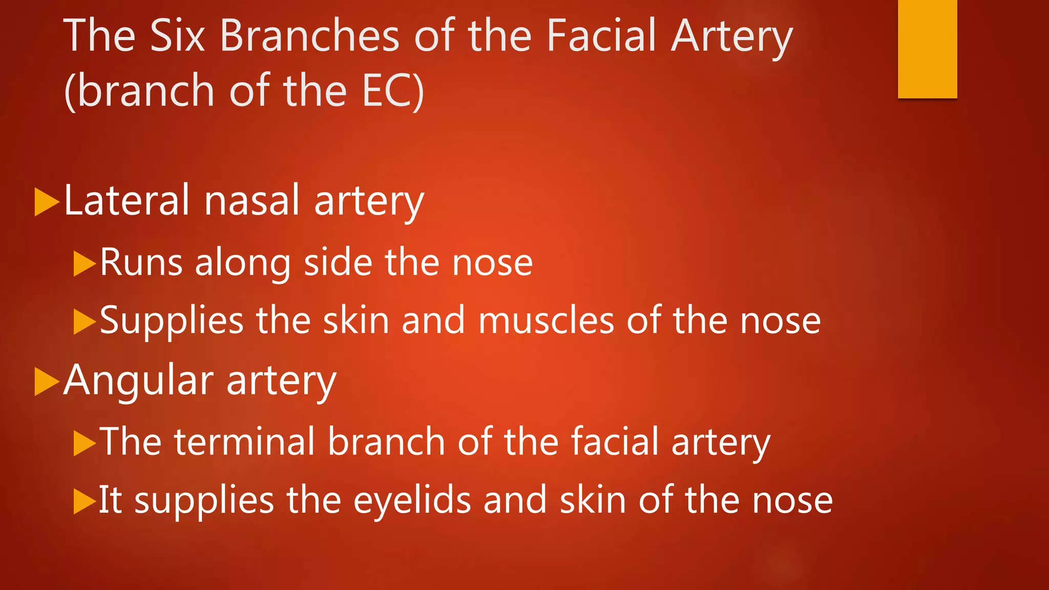 Arteries of the Head and Neck | PPTX