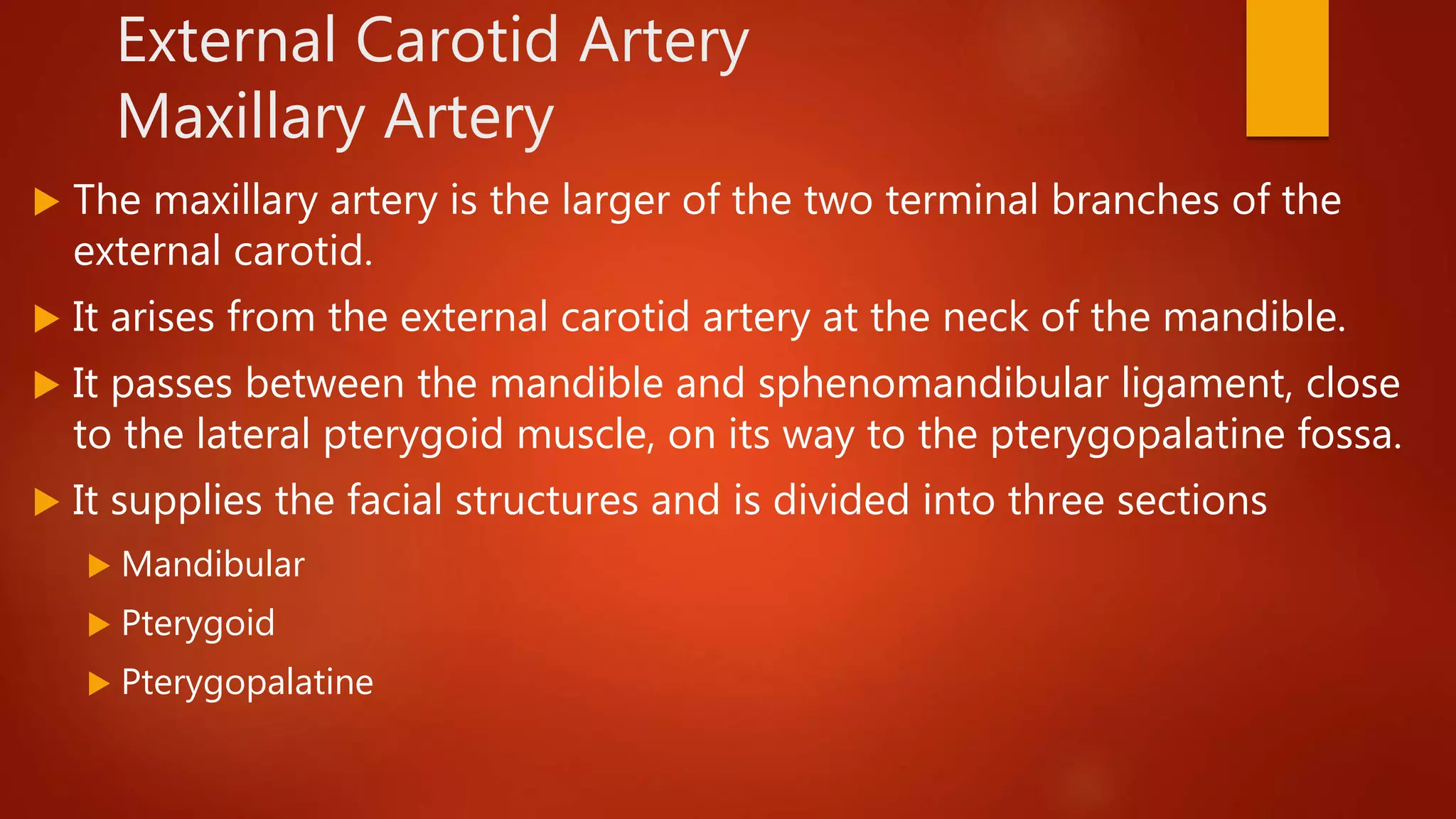Arteries of the Head and Neck | PPTX