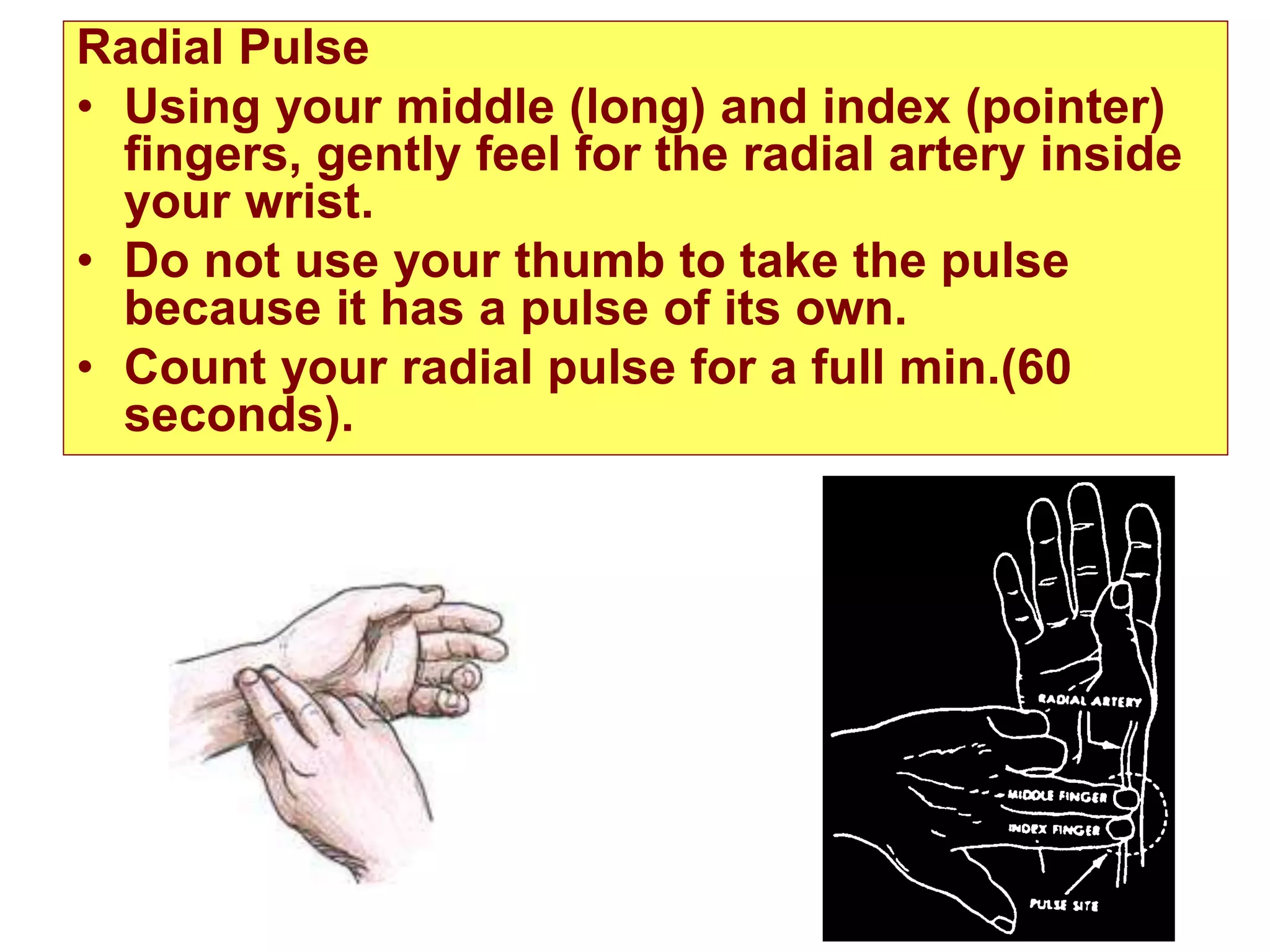 Arteries of the upper limb.ppt