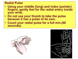 Arteries of the upper limb.ppt