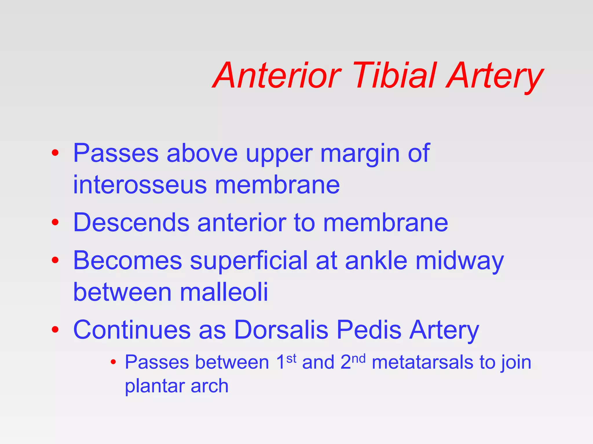 Arteries of upper and lower limbs.pptx