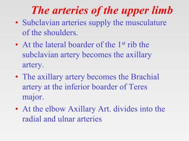 Arteries of upper and lower limbs.pptx