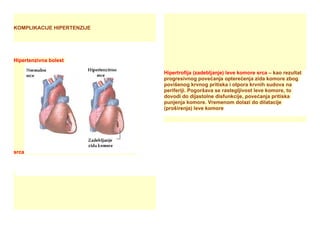 Arterijska hipertenzija | PDF