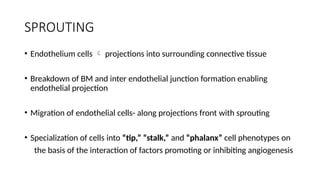 ARTERIOGENESIS AND. ANGIOGENESIS.pptx