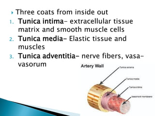 Arteriosclerosis.pdf