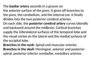 Anatomy of arterial supply of head and neck ppt | PPTX