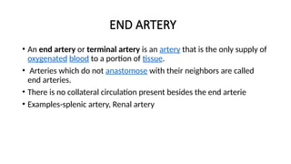 Description of Artery and Vein with its Applied Anatomy | PPTX
