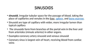 Description of Artery and Vein with its Applied Anatomy | PPTX