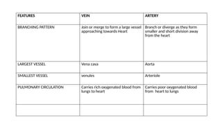 Description of Artery and Vein with its Applied Anatomy | PPTX