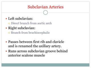Arterial Supply of Upper Limb | PPTX