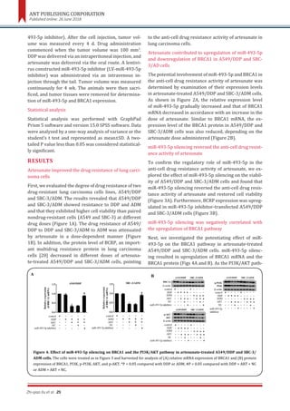 Artesunate improves drug resistance of lung carcinomas via regulation ...