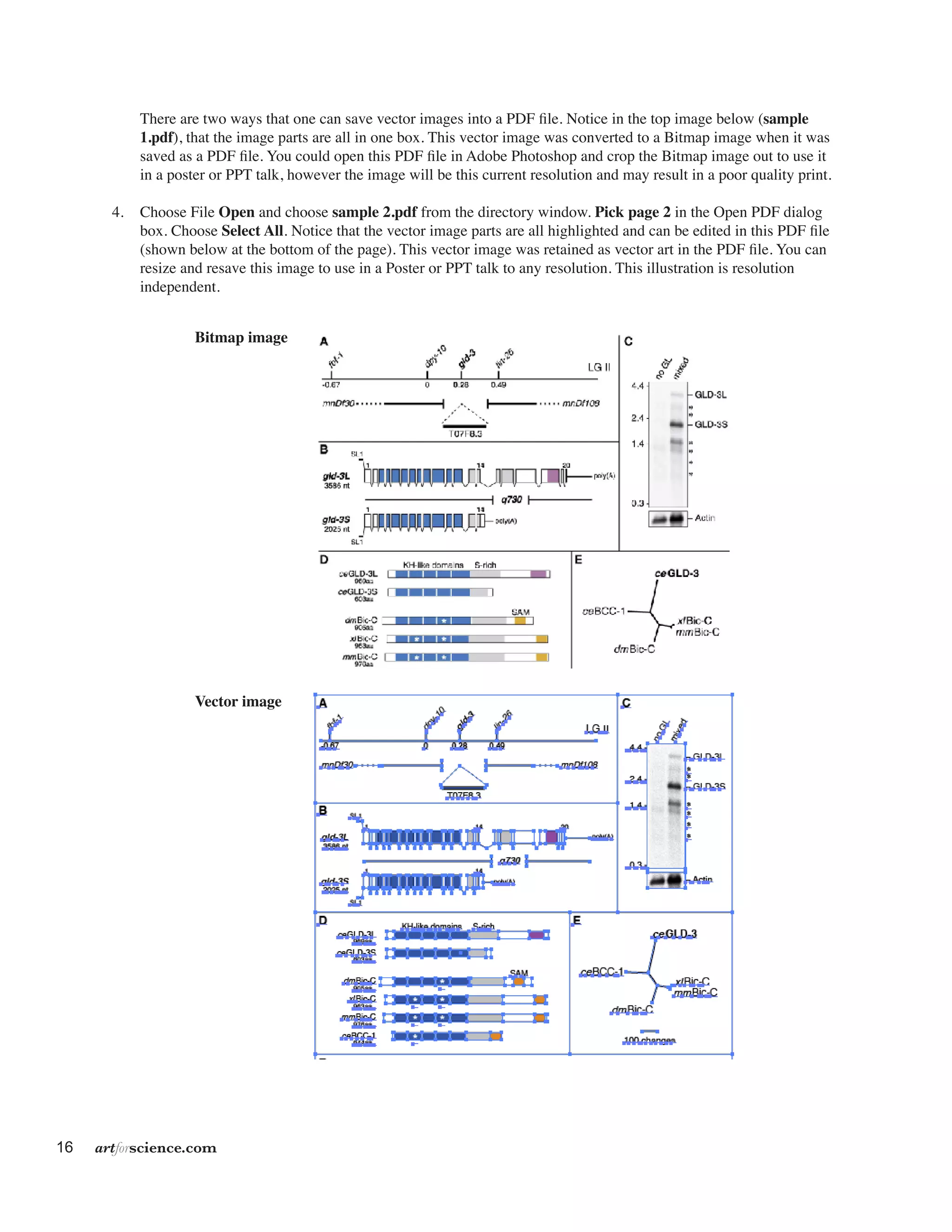 Scientific Poster Making Using Adobe Illustrator Hmftj Pdf