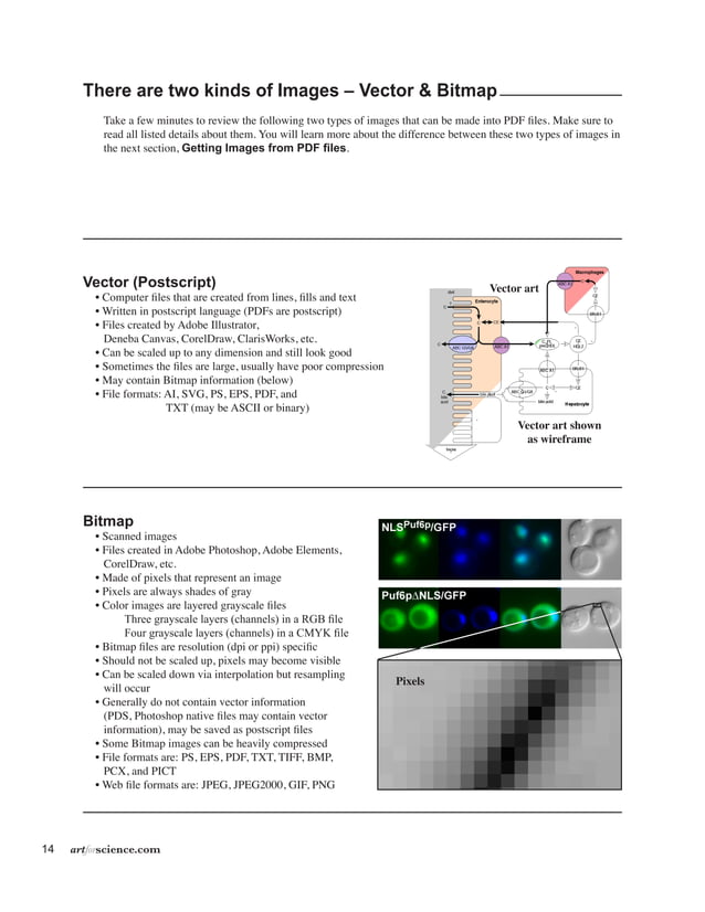 Scientific Poster Making Using Adobe Illustrator Hmftj Pdf 