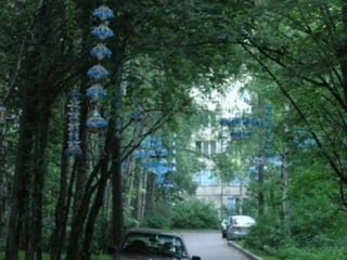 Art From Plastic Bottles | PPT