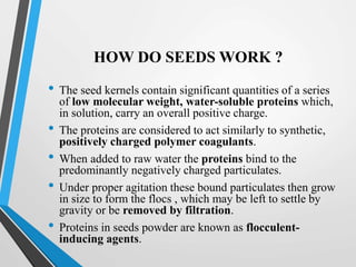 FINAL REVIEW PPT.pptx