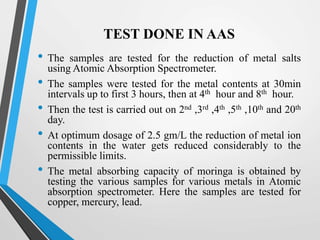 FINAL REVIEW PPT.pptx