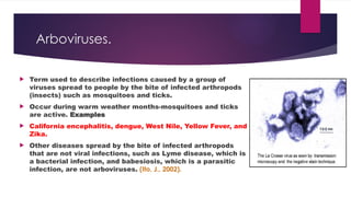 Arthopod-borne diseases.pptm. pptx | PPTX