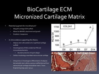 BioCartilage Update 2013 | PPTX | Biological Sciences | Science