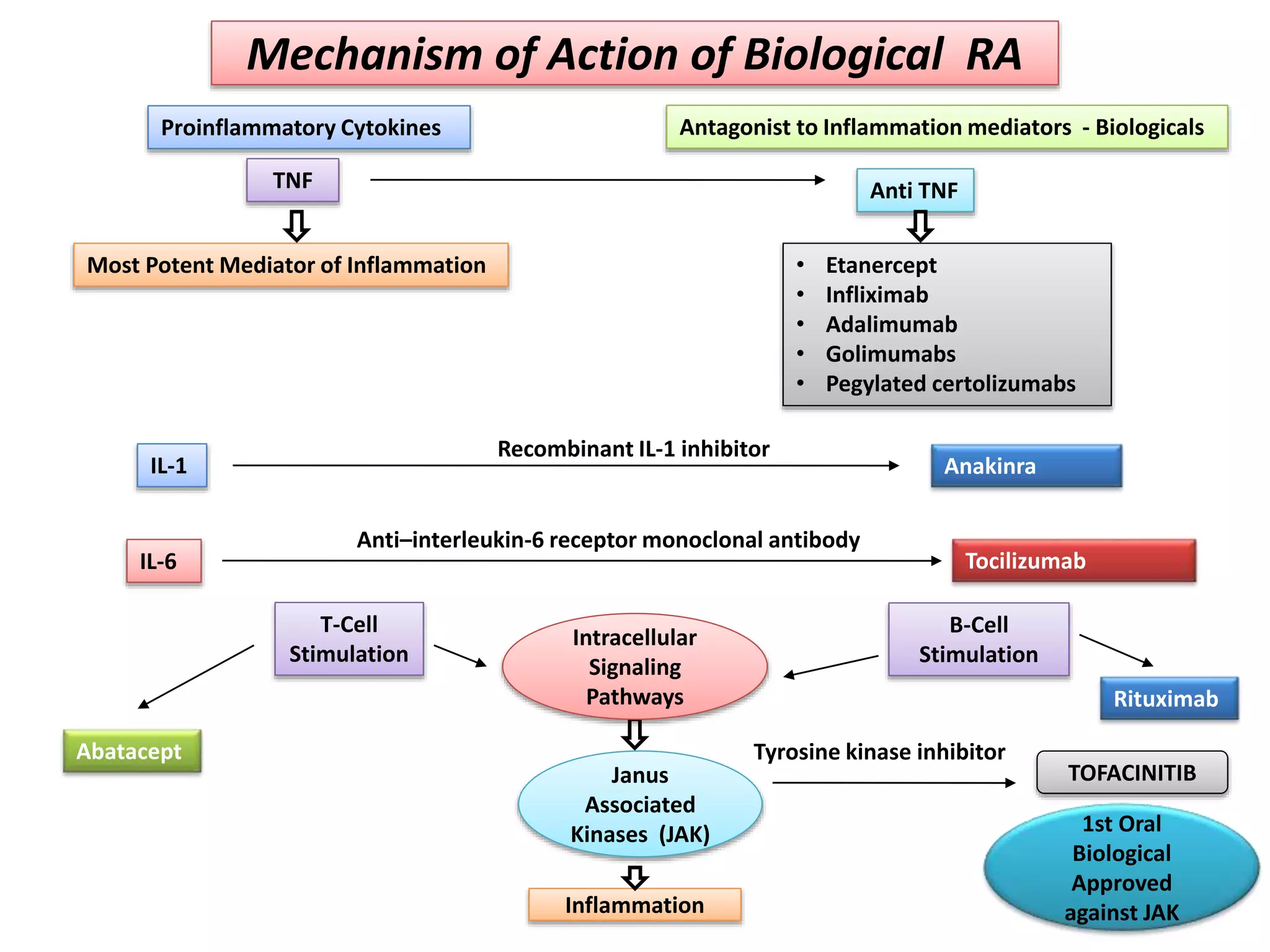 Arthritis - An Overview - Dr Rajendra Sharma | PPTX