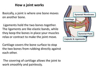 Educational Grand Rounds: Arthritis | PPTX