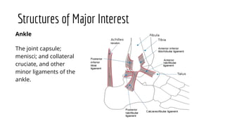 Arthrography of the Shoulder, Ankle and Wrist.pptx