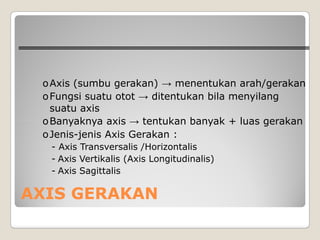 Anatomi Sistem Musculoskeletal Kedokteran | PDF