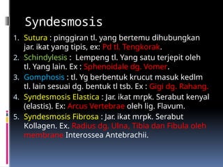 ARTHROLOGI.pptx dawdadjadaikkadkkaokaadk | PPT