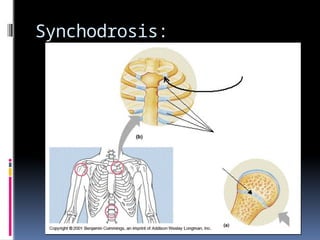 ARTHROLOGI FOR MANAGEMENT AND SCIENCE EDUCATION.ppt