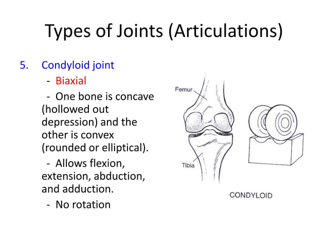 Arthrology | PPT