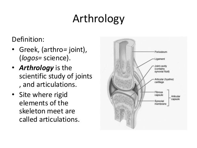 Arthrology