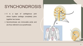ARTHROLOGY PPT NCISM SYLLABUS AYURVEDA STUDENTS | PPTX