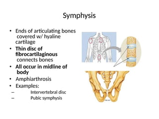 arthrology joints and bones in human body | PPTX