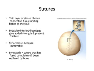 arthrology joints and bones in human body | PPTX