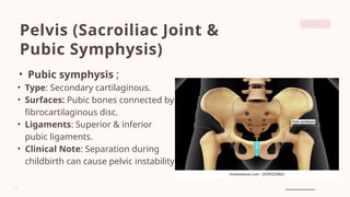 Arthrology of the Lower Limb by Dr.RUMAISA PT | PPTX
