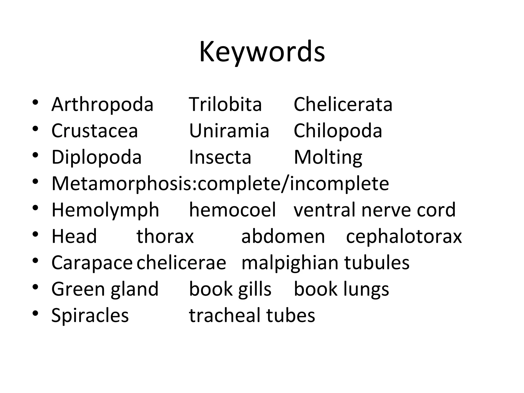 Arthropoda | PPT