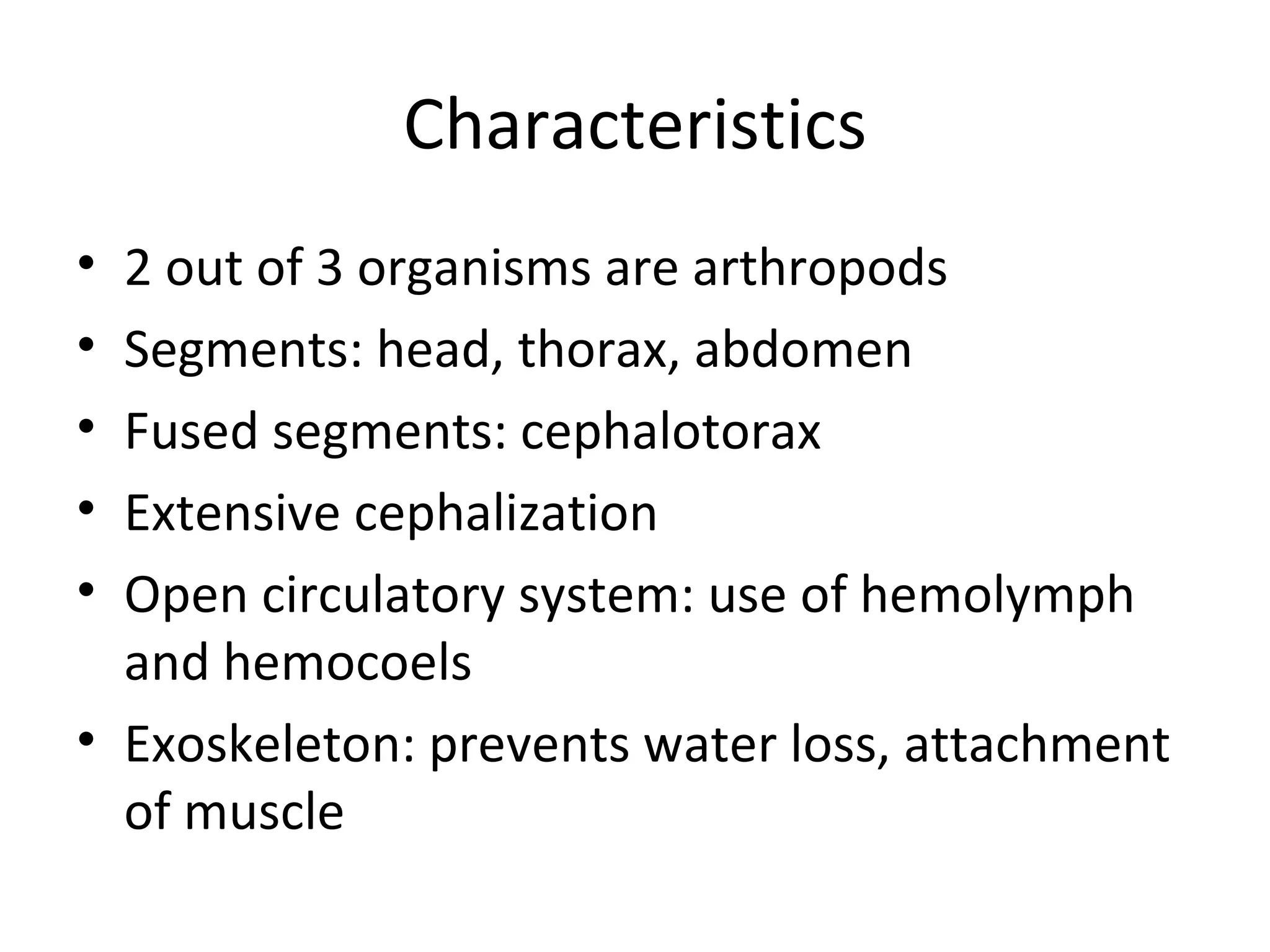 Arthropoda | PPT