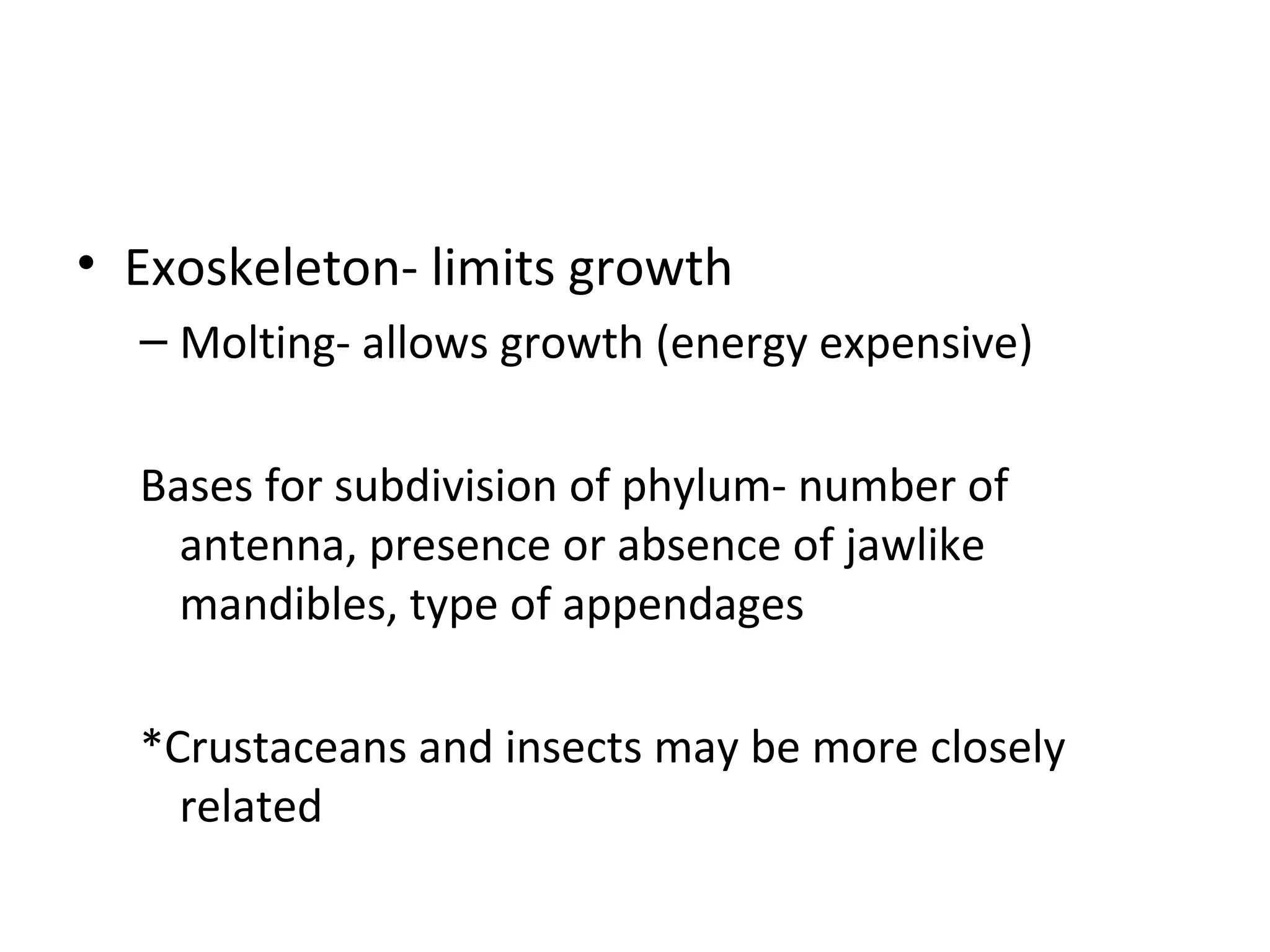 Arthropoda | PPT
